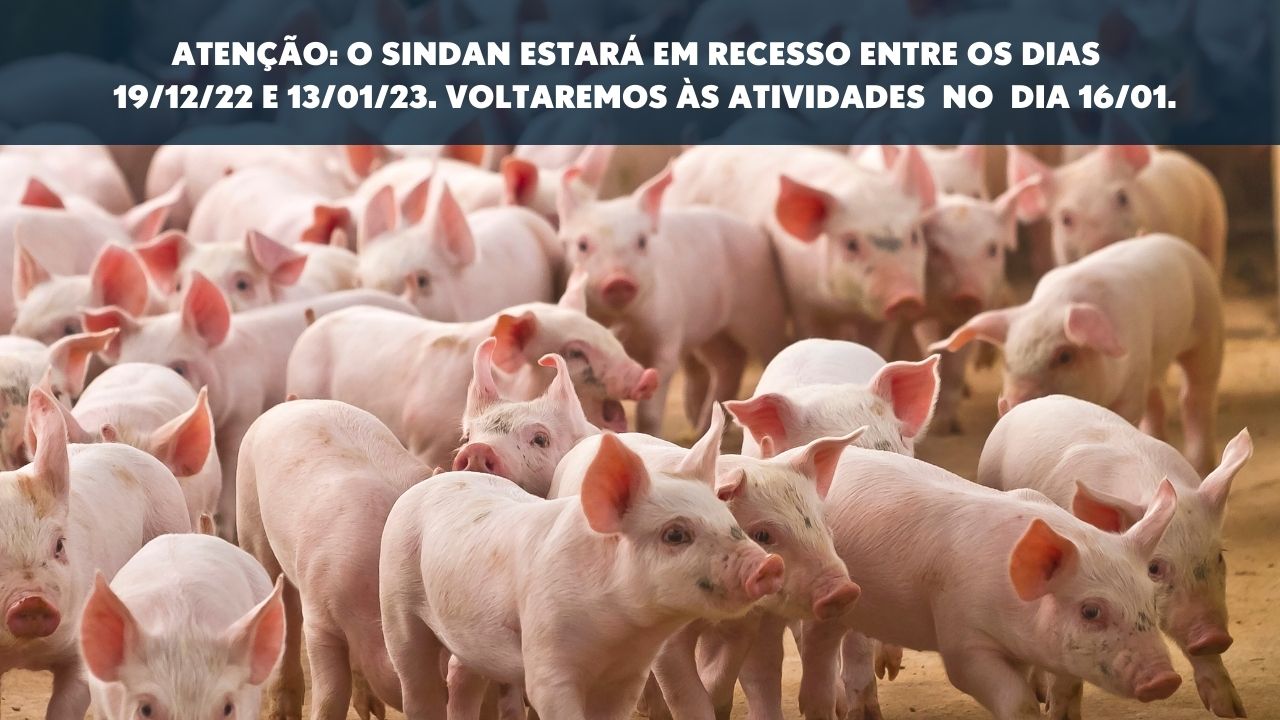 Notícias | SINDAN
